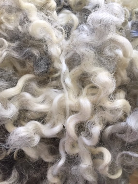 Wool Curly Fleece - Etsy