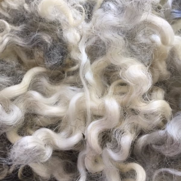 Raw Wool Fleece - Etsy