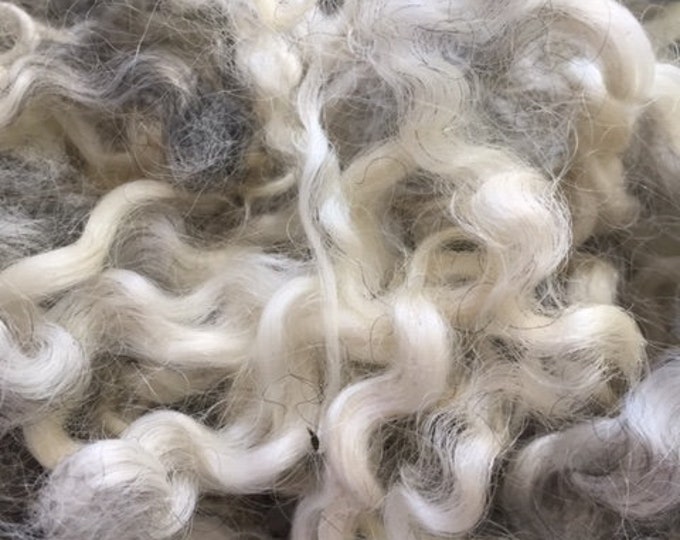 Wool, Curly Fleece - Etsy