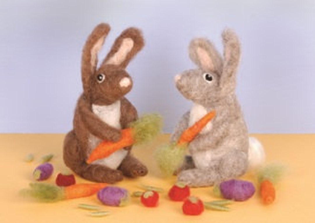 Rabbits Needle Felting Craft Kit - Etsy