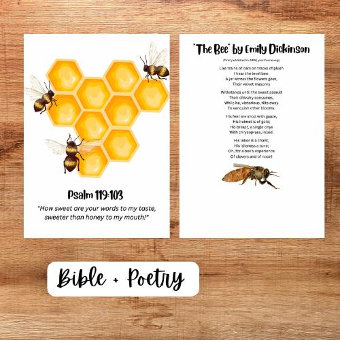 Bee Mini Unit Study for Kids | 20+ Pages of Worksheets, Bible Verses ...