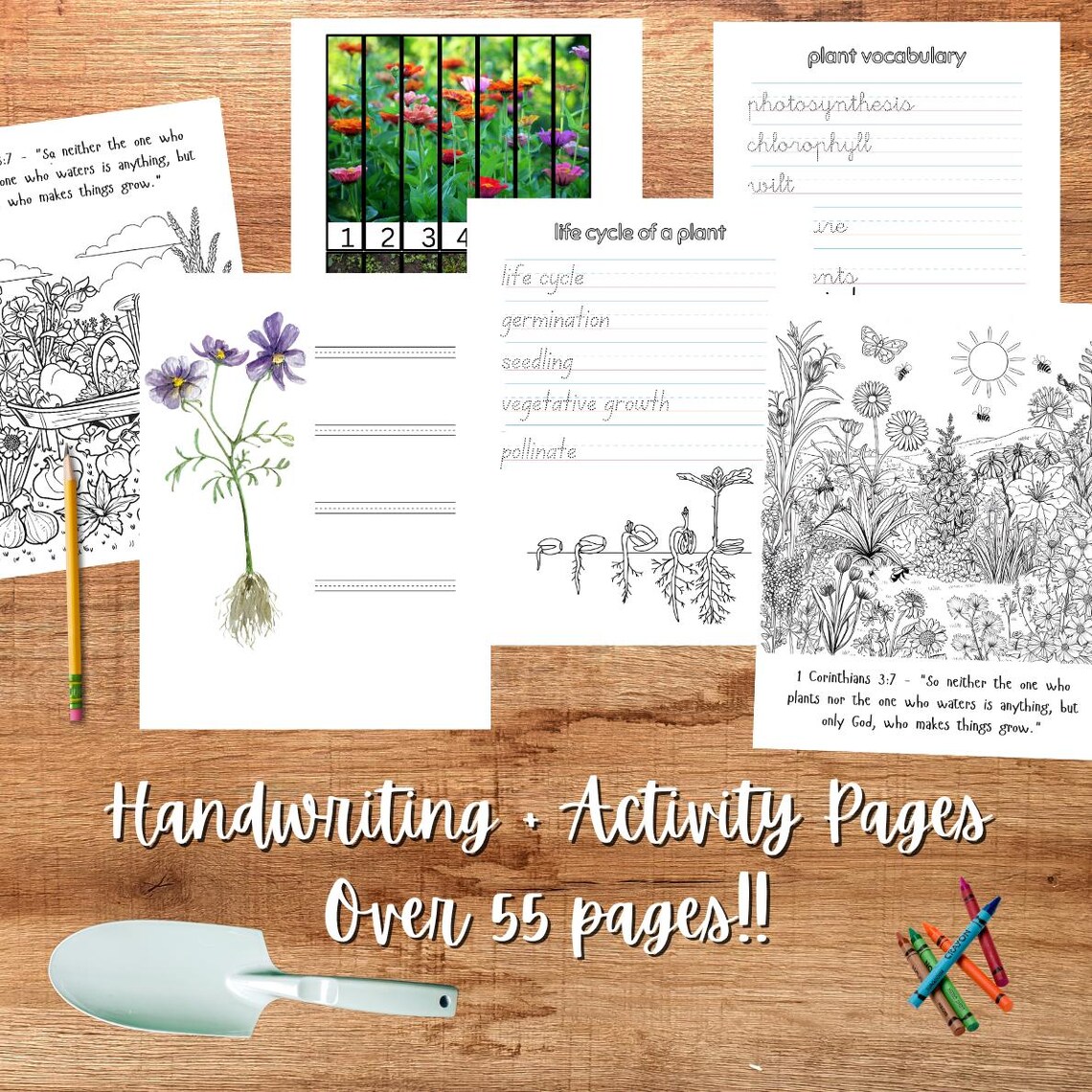 Gardening & Plant Growth Unit Study for Homeschoolers | 8 Lessons ...