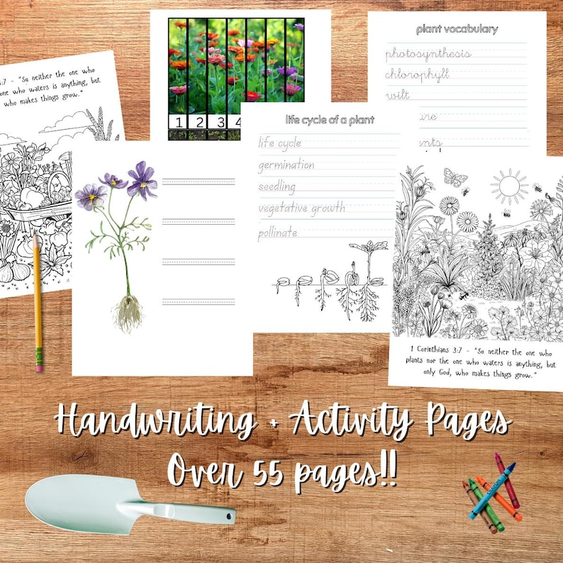 Gardening & Plant Growth Unit Study for Homeschoolers | 8 Lessons ...