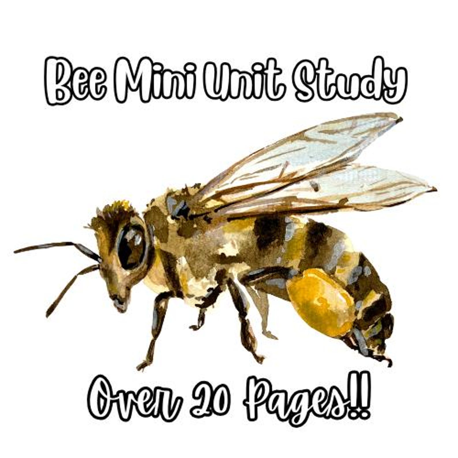 Bee Mini Unit Study for Kids | 20+ Pages of Worksheets, Bible Verses ...