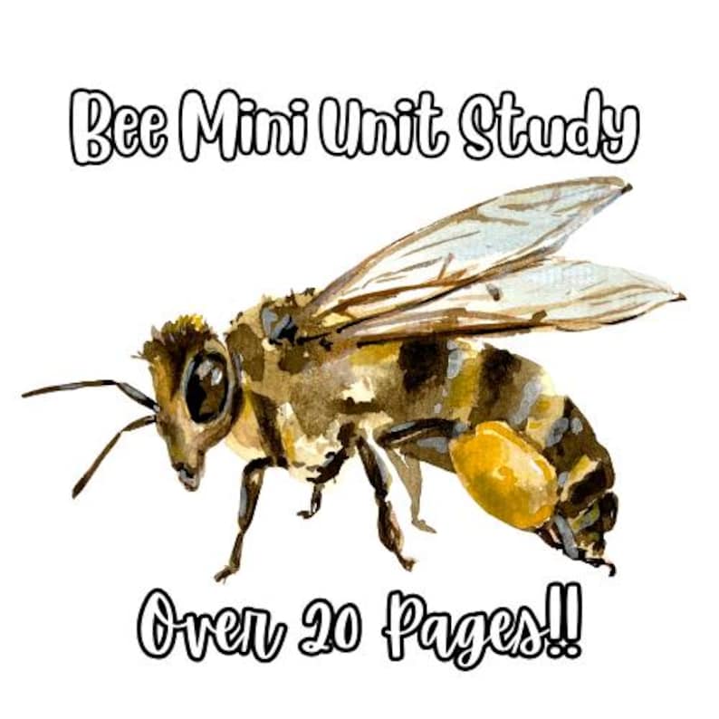 Bee Mini Unit Study for Kids | 20+ Pages of Worksheets, Bible Verses ...