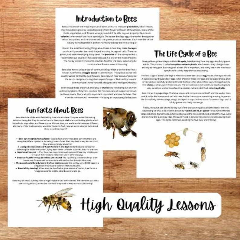 Nature Science Unit Study Bundle for Elementary Homeschool | Weather ...