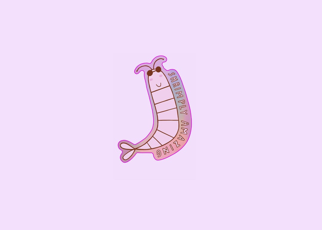 Shrimp Sticker "shrimply Amazing" – Holographic Effect - Etsy