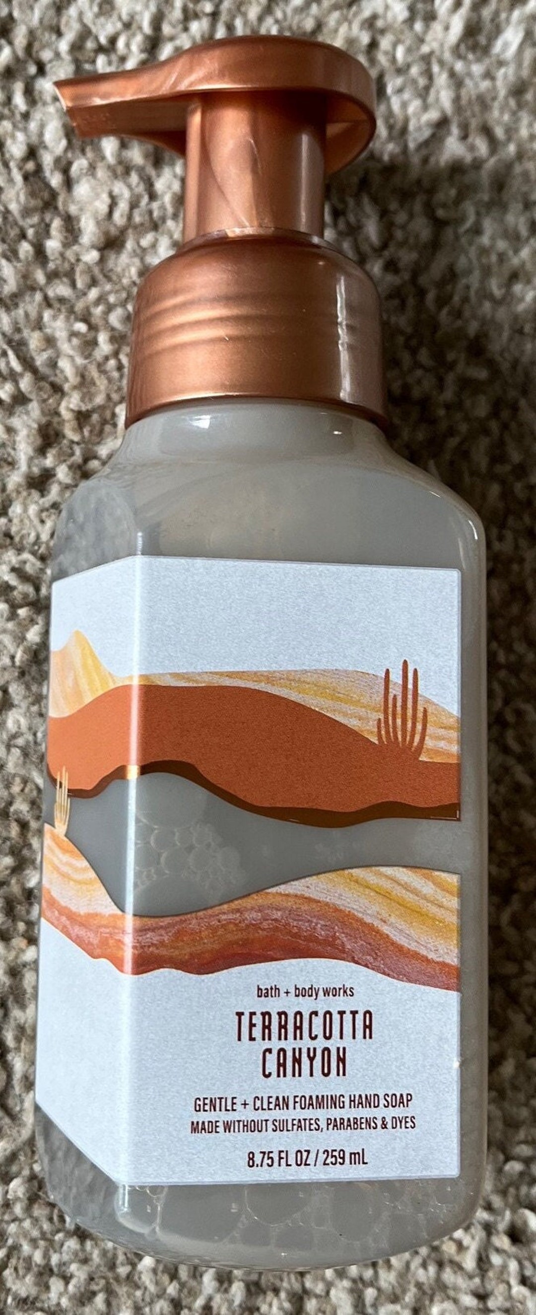 Terracotta Canyon Bath & Body Works Gentle Foaming Hand Soap 8.75 Fl Oz ...