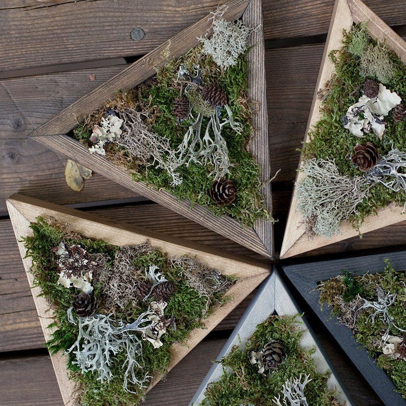 CottonAndWoodDesign - Etsy