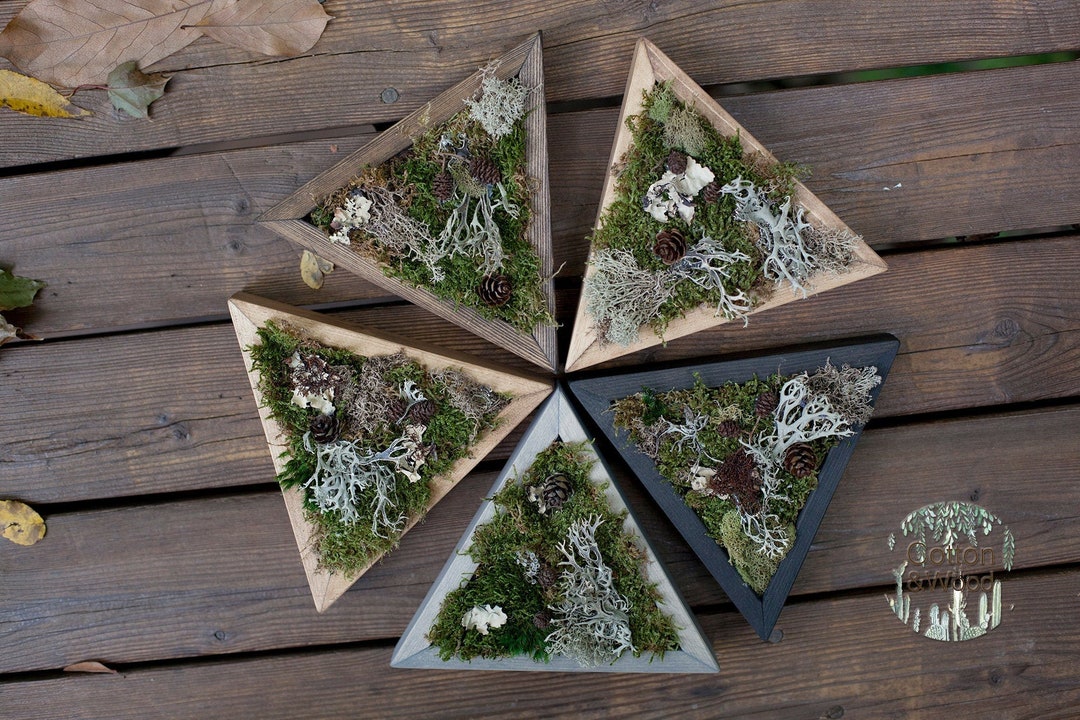 MINI Triangle Moss Garden, 8" Side, Deep 1.25". Moss Wall Decor, Green ...
