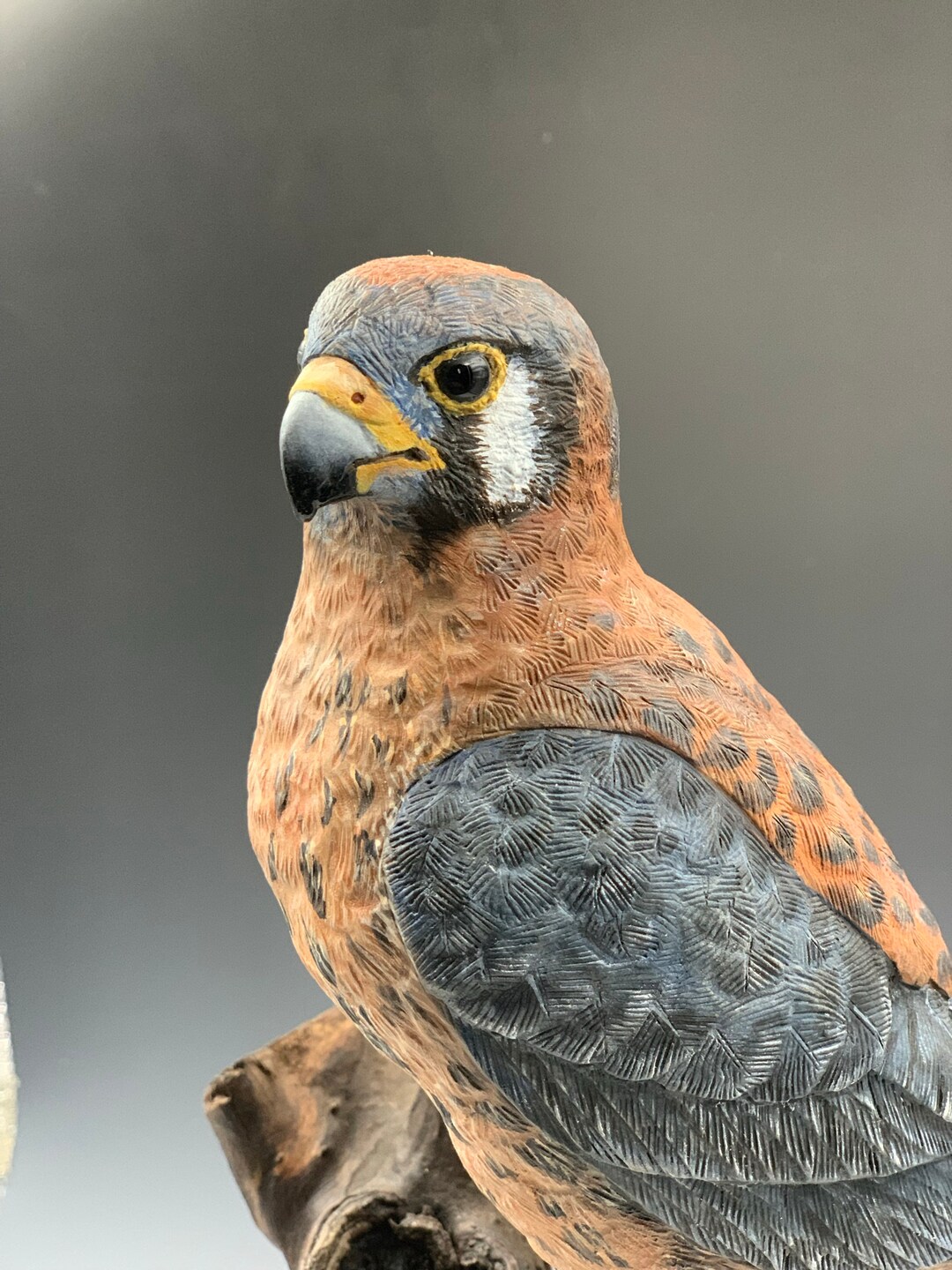 Life-size American Kestrel Hand Carved Out of Basswood - Etsy