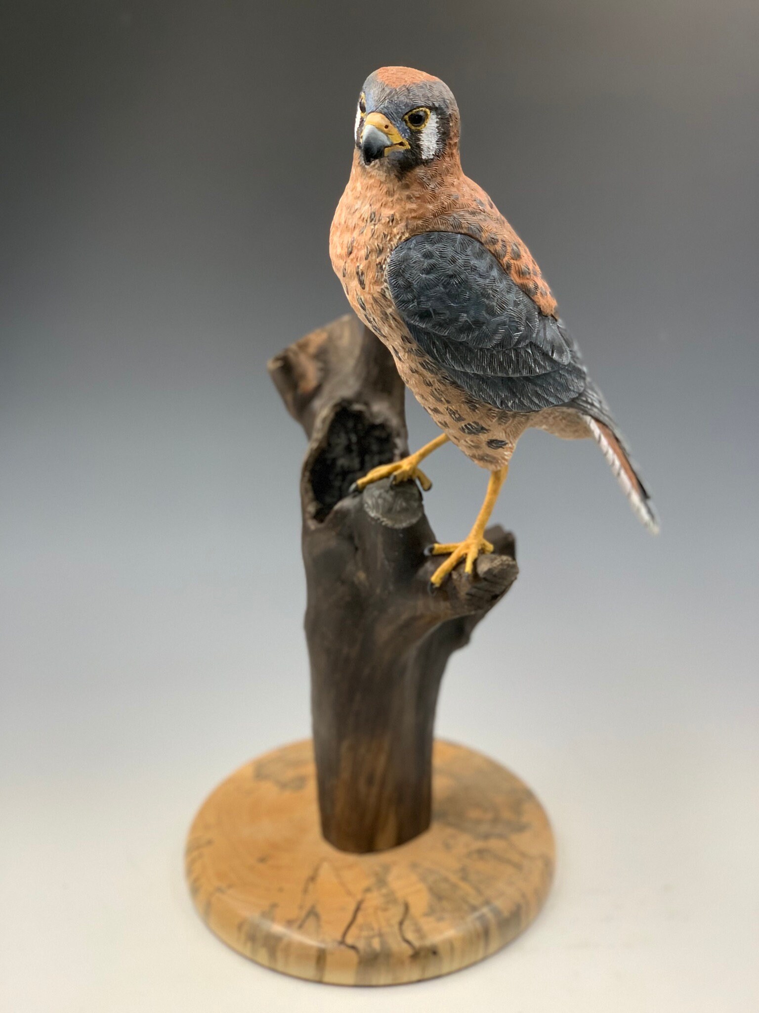 Life-size American Kestrel hand carved out of Basswood | Etsy