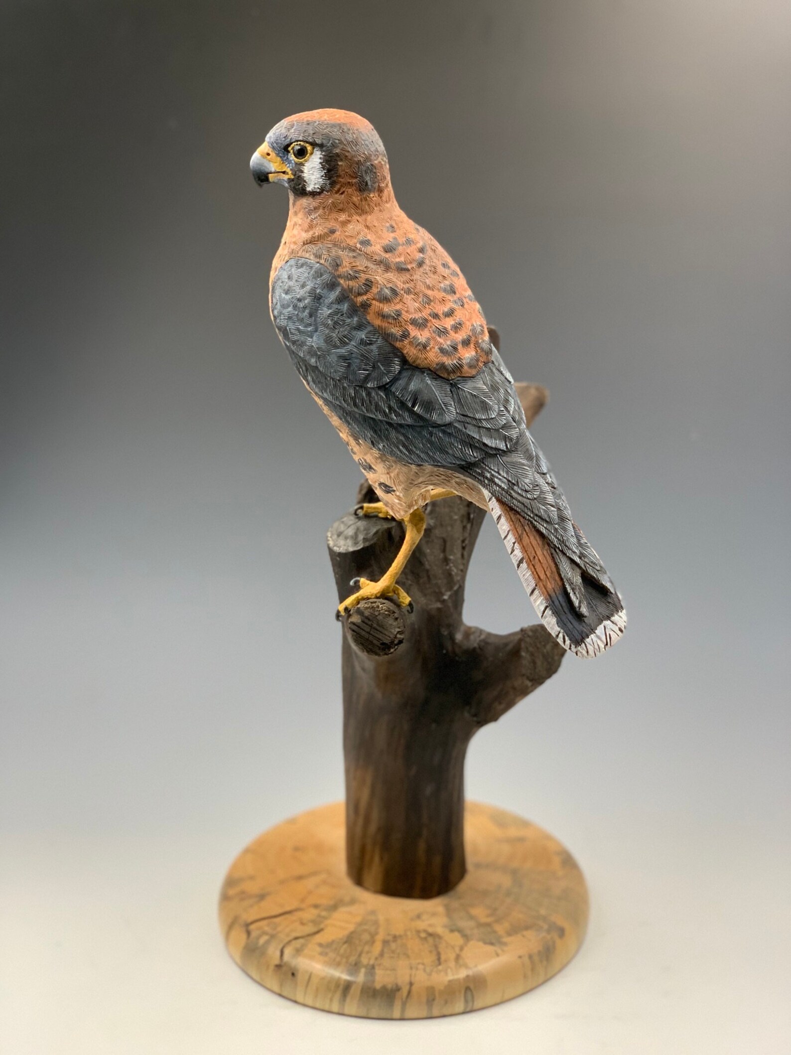 Life-size American Kestrel hand carved out of Basswood | Etsy