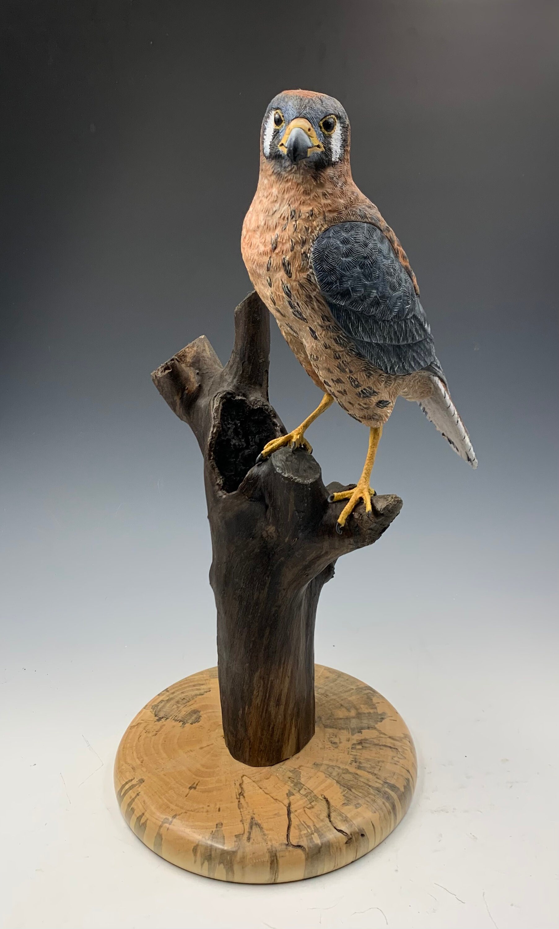 Life-size American Kestrel hand carved out of Basswood | Etsy