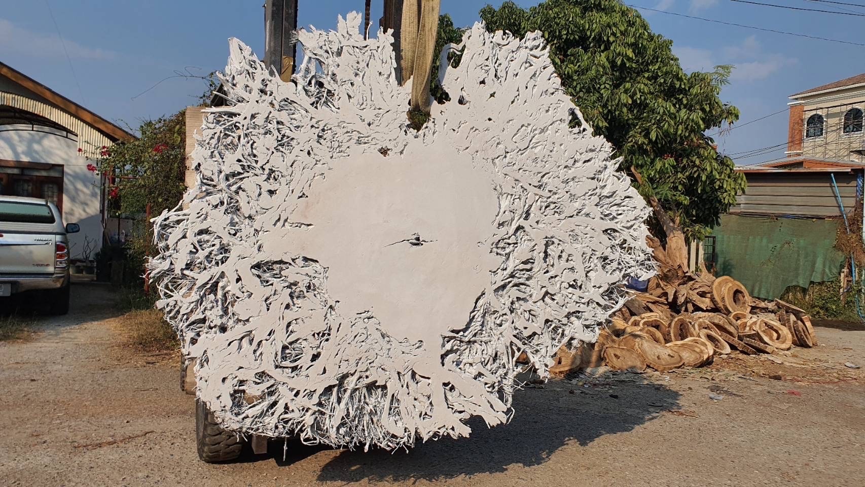 Tree Root Decoration ,tree Root Stand Decoration, Living Room ...