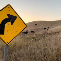 Pastel Welcome Back Bulletin Board Kit, Elementary Classroom, Digital ...