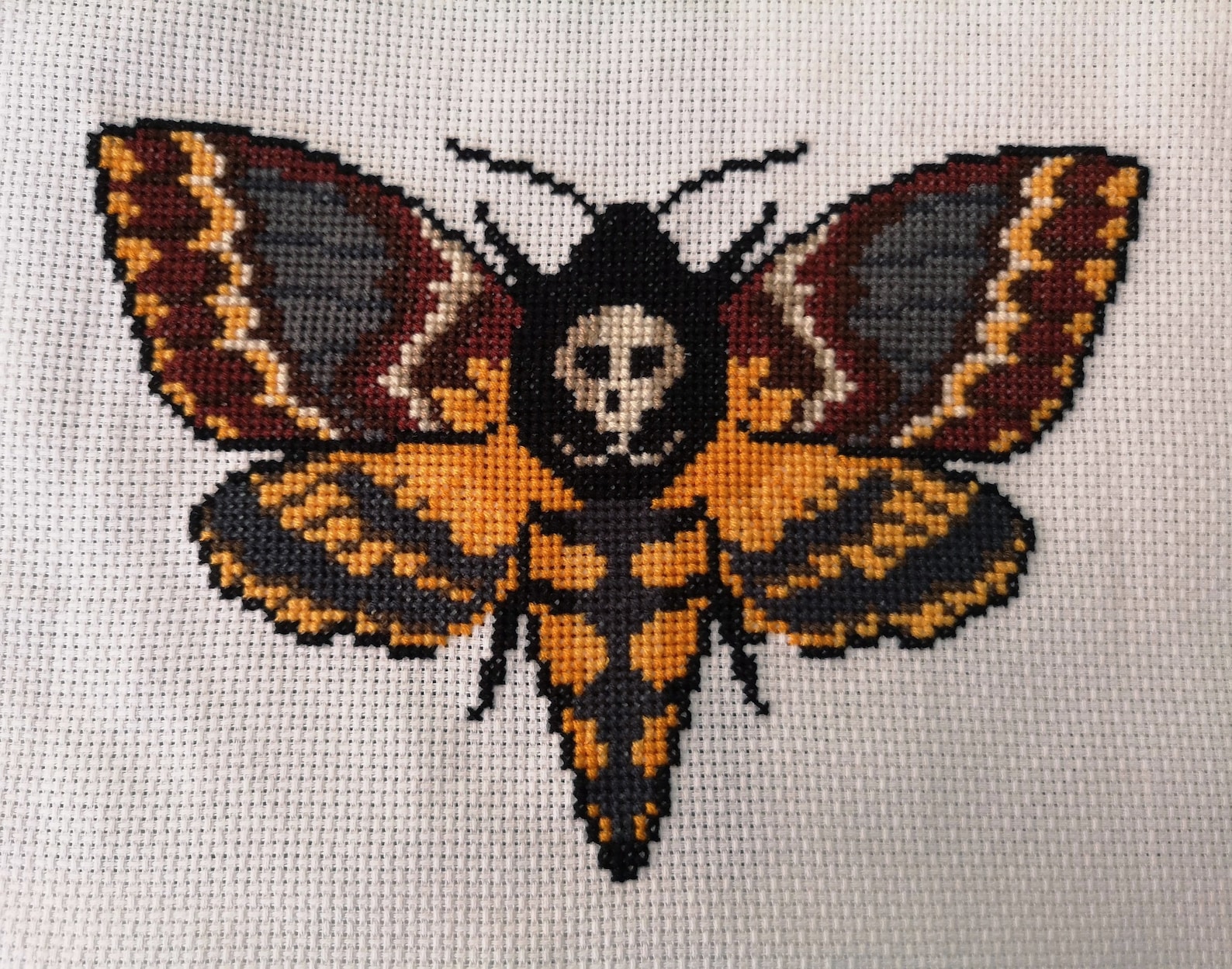 Death's Head Moth Cross Stitch Pattern PDF Download | Etsy