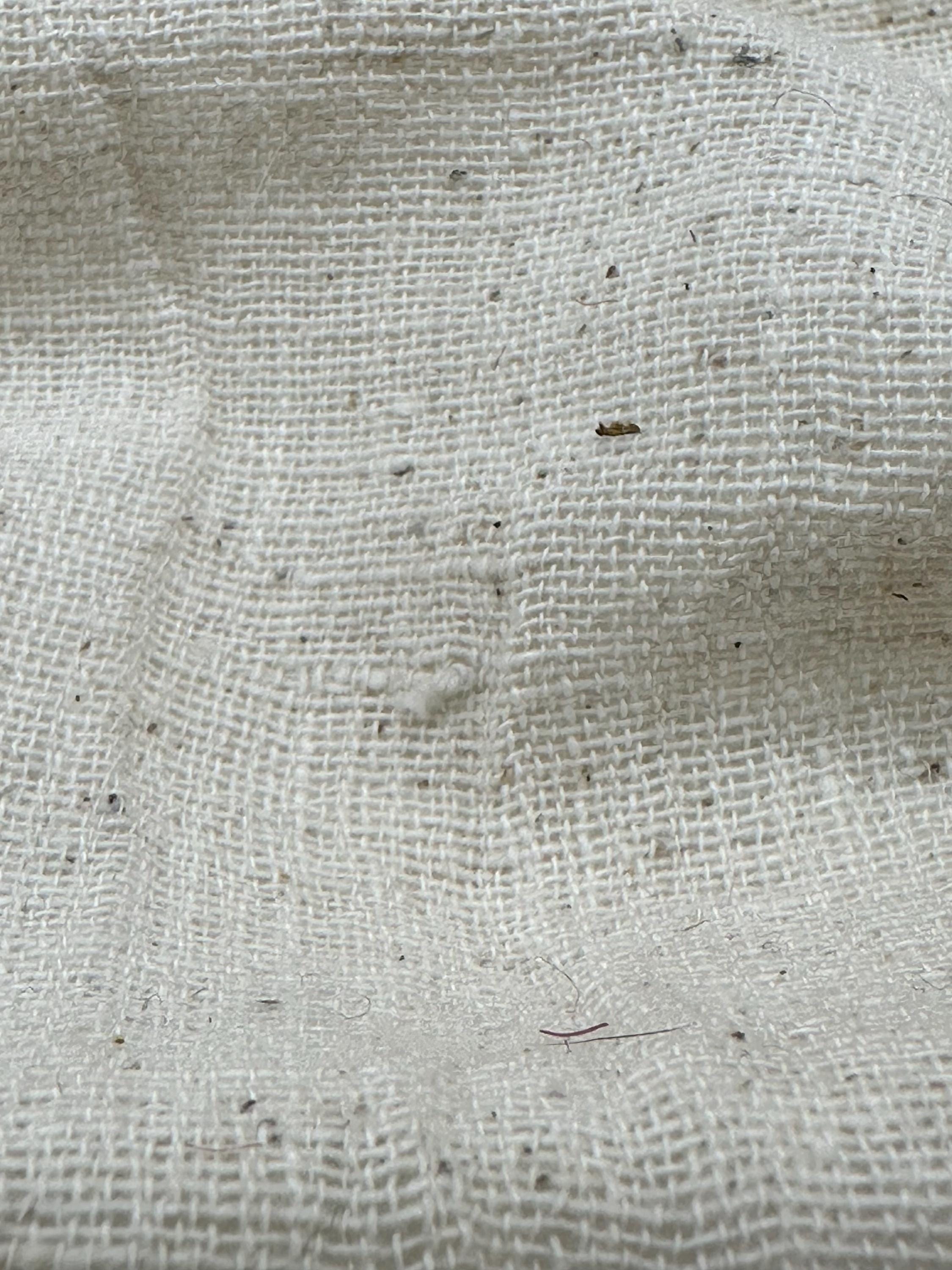 Organic Cotton Cloth, Hand Spun, Hand Woven Heirloom Kala Cotton Fabric ...