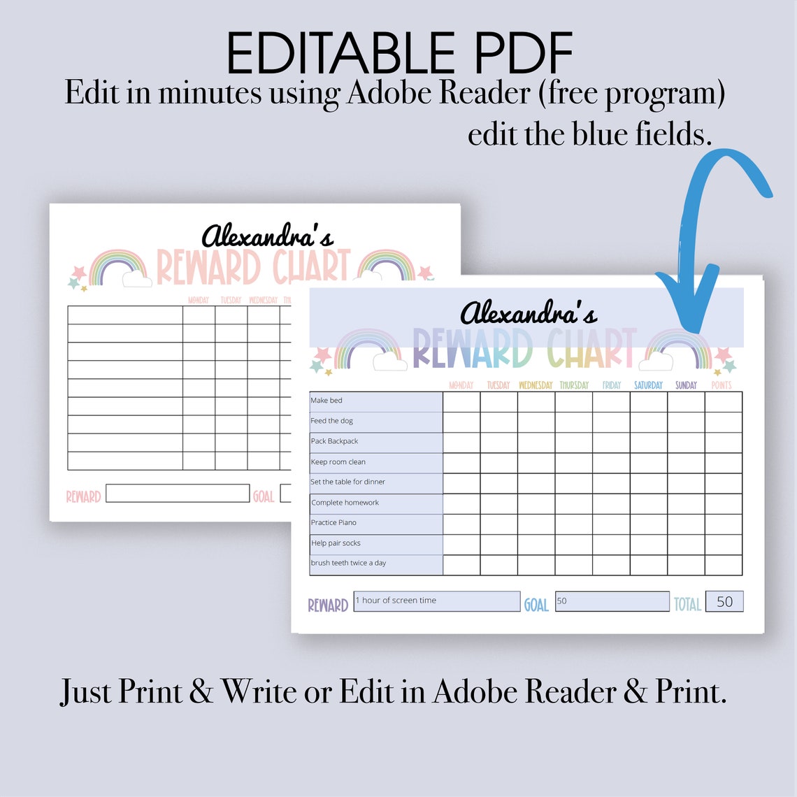 Reward Chart Editable Goal Chart Reward Chart for Girls | Etsy