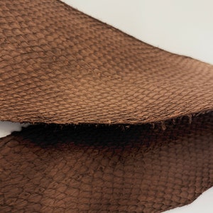 Fish Skin Leather, Beige Fish Skin, Brown Fish Skin. - Etsy