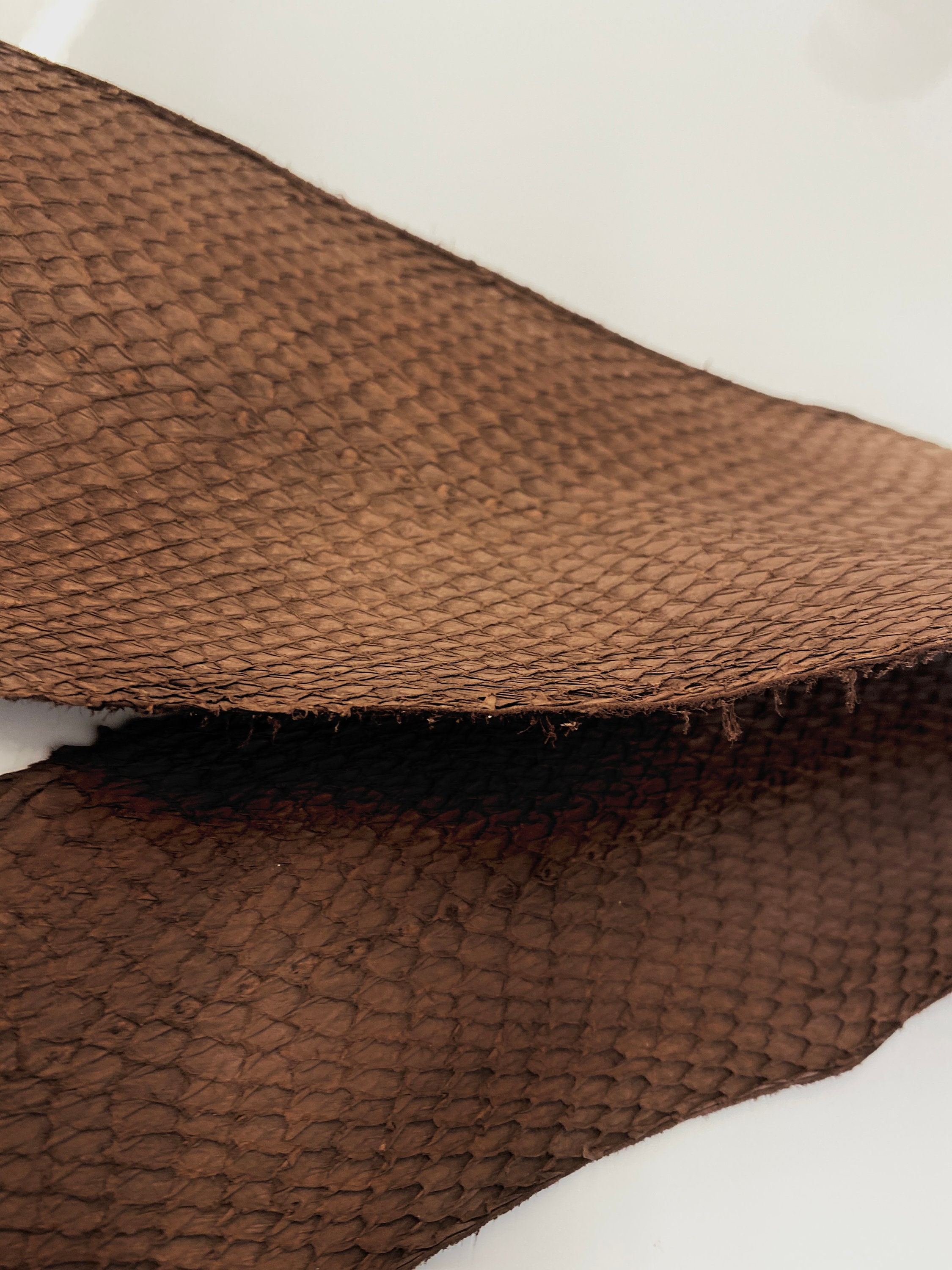 Fish Skin Leather, Beige Fish Skin, Brown Fish Skin. - Etsy