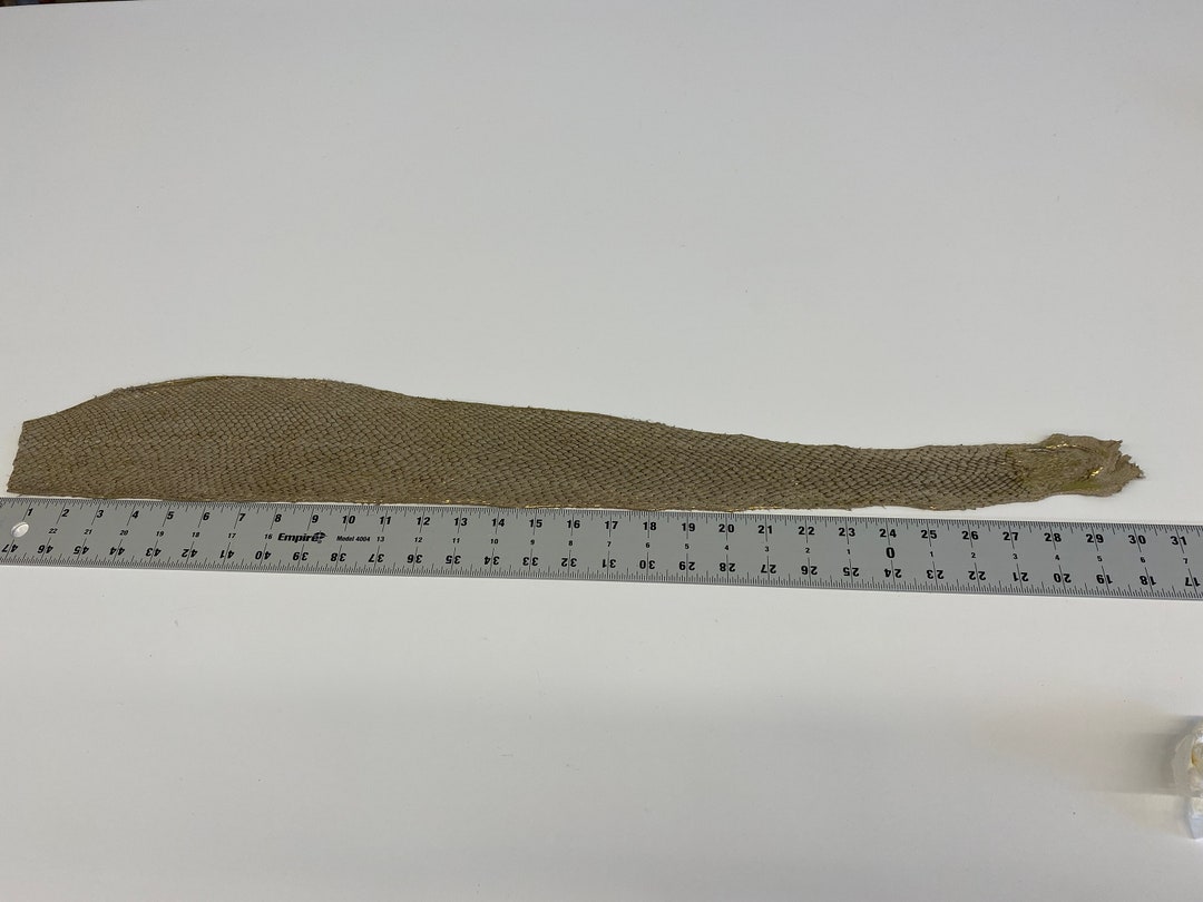 Fish Skin Leather, Beige Fish Skin, Brown Fish Skin. - Etsy