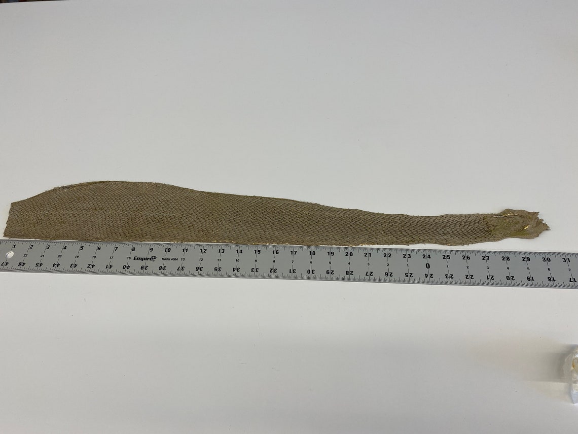 Fish Skin Leather, Beige Fish Skin, Brown Fish Skin, Beige & Gold Fish ...