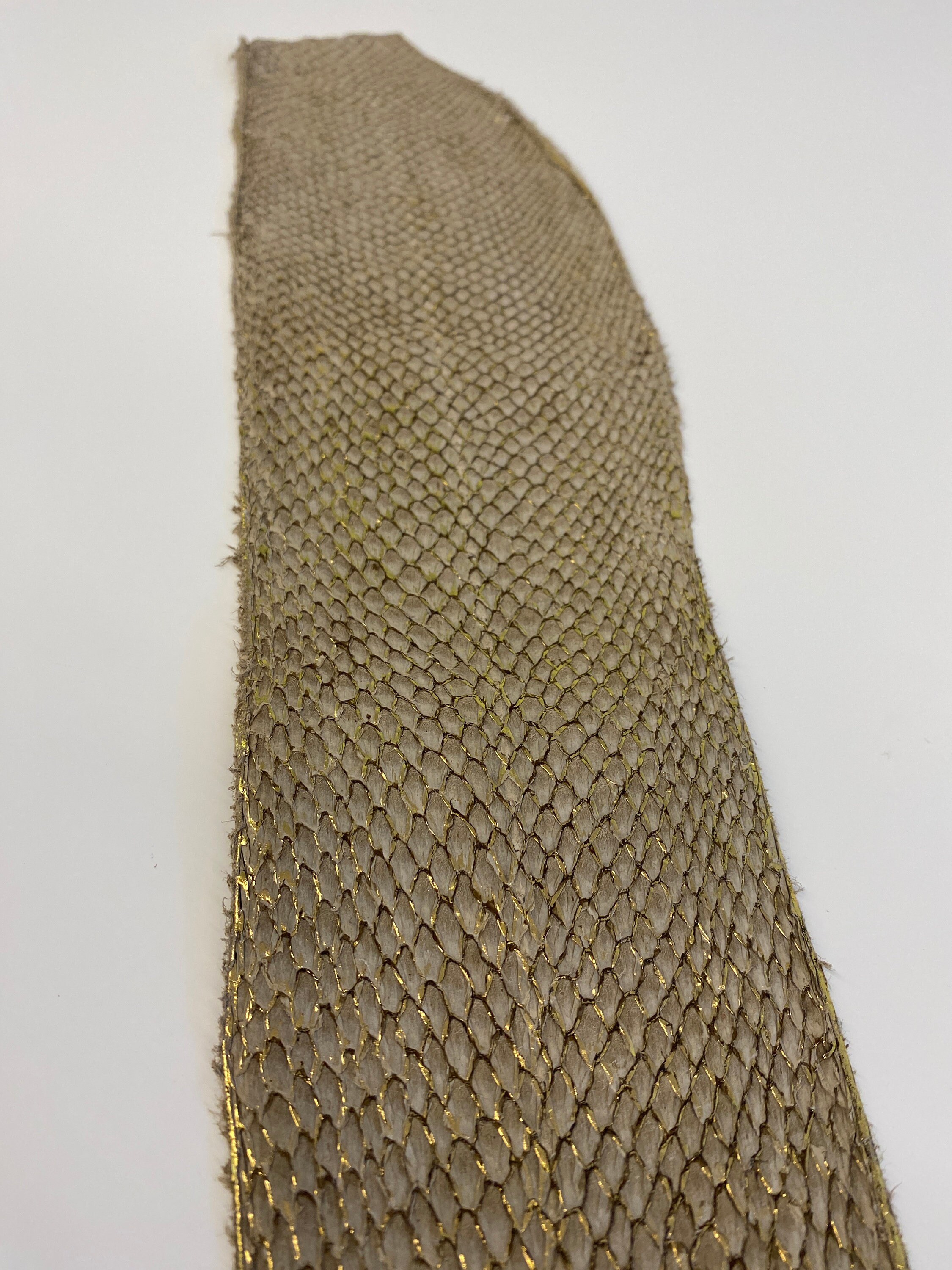Fish Skin Leather, Beige Fish Skin, Brown Fish Skin, Beige & Gold Fish ...