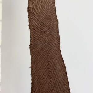 Fish Skin Leather, Beige Fish Skin, Brown Fish Skin. - Etsy
