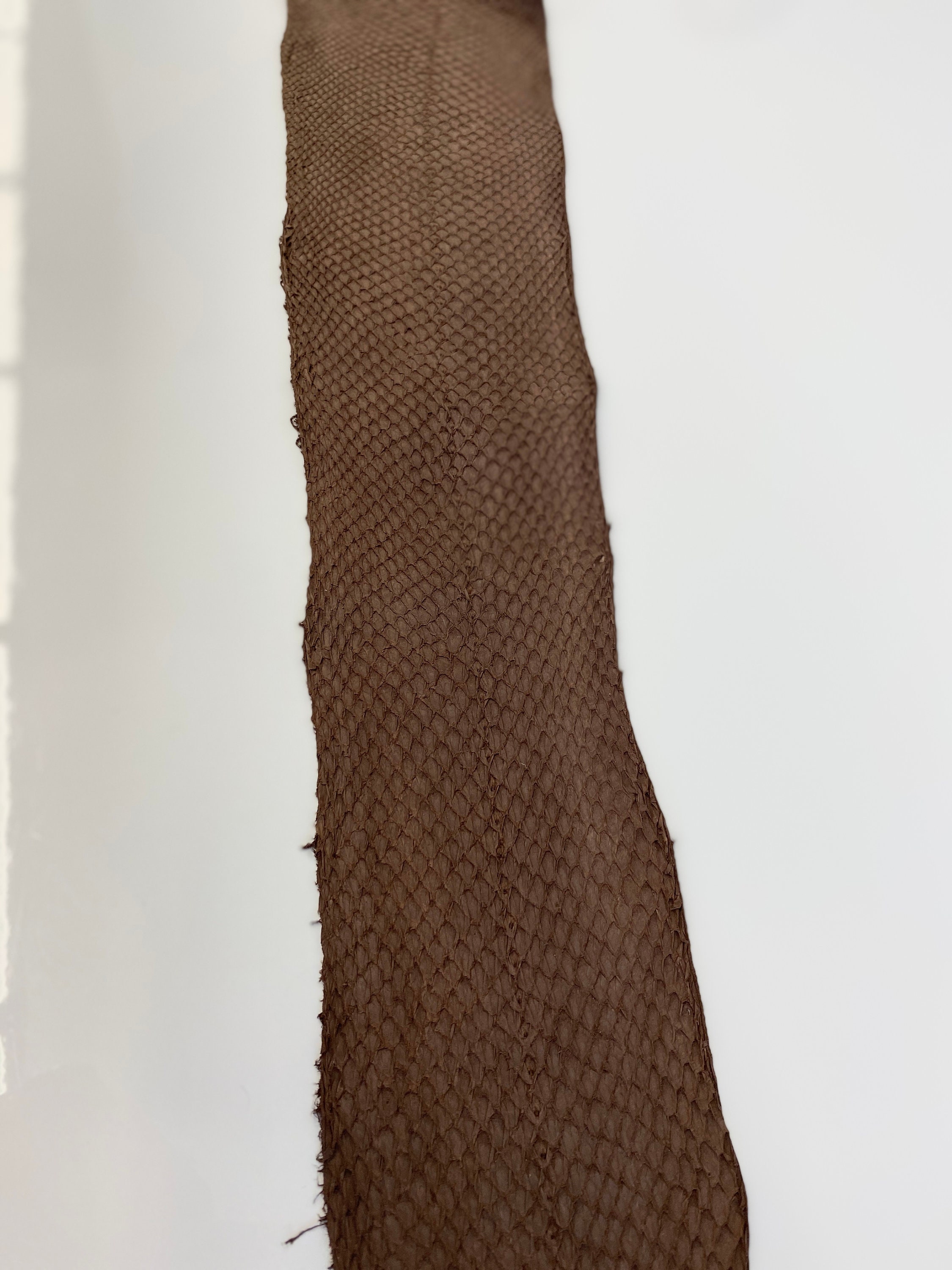Fish Skin Leather, Beige Fish Skin, Brown Fish Skin. - Etsy