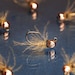 5 Woods Special Flies for Fly Fishing - Etsy