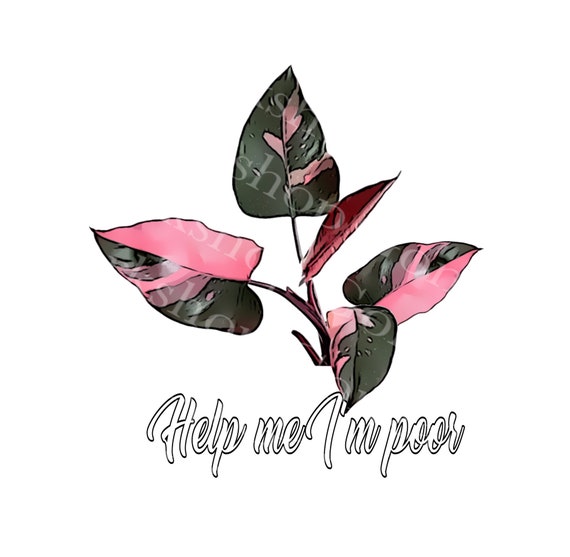 Pink Princess PNG Help Me I'm Poor Digital Download - Etsy