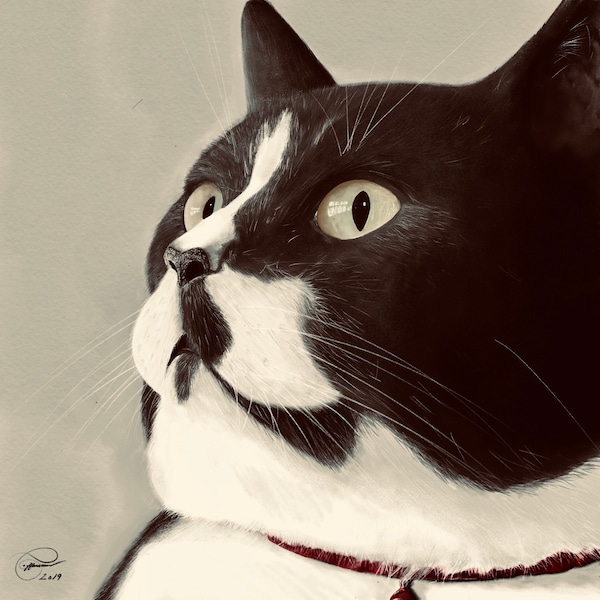 Jess the Cat - Etsy UK