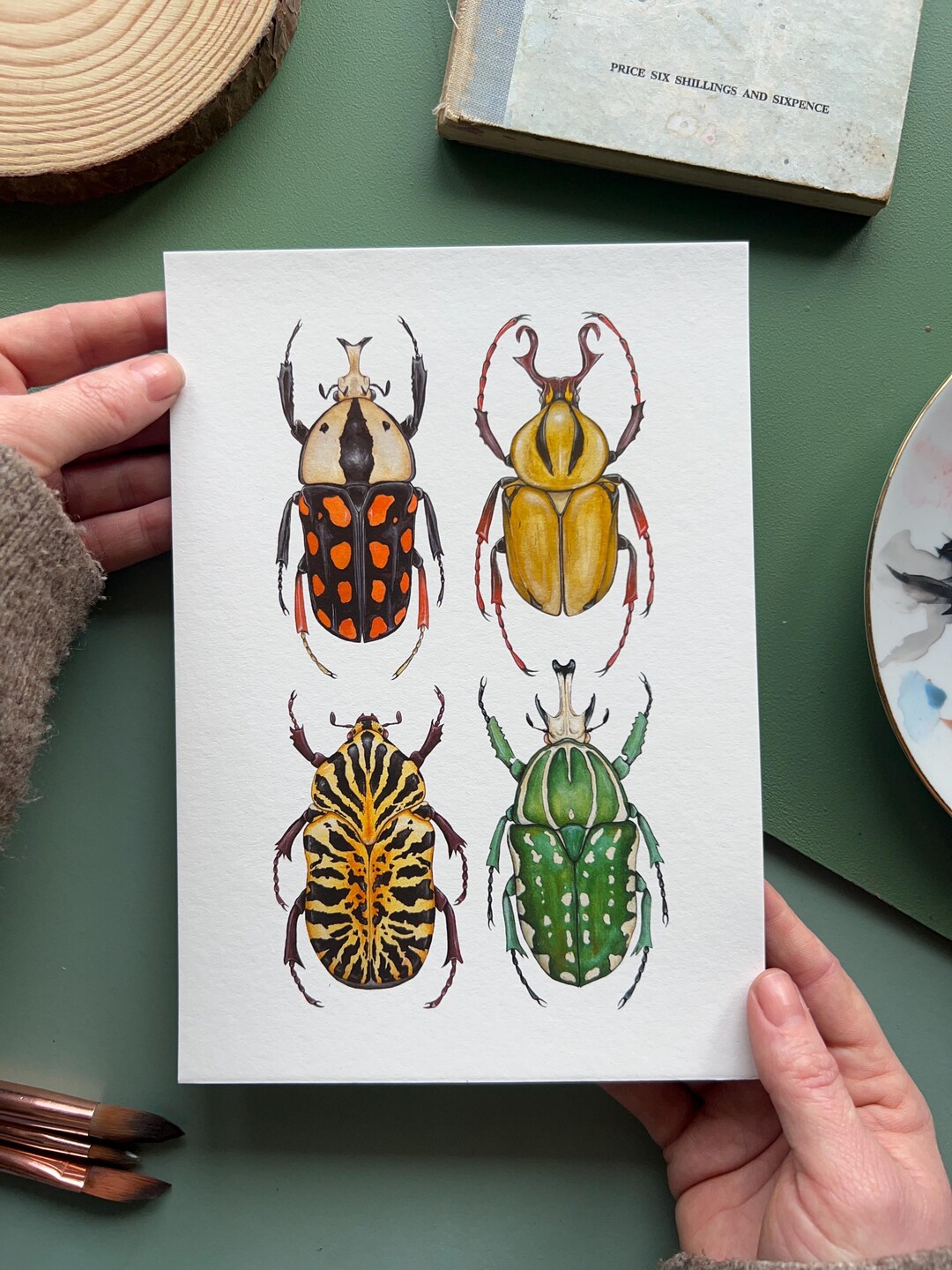 Fruit Beetles, Watercolour Fine Art Print, Entomology - Etsy
