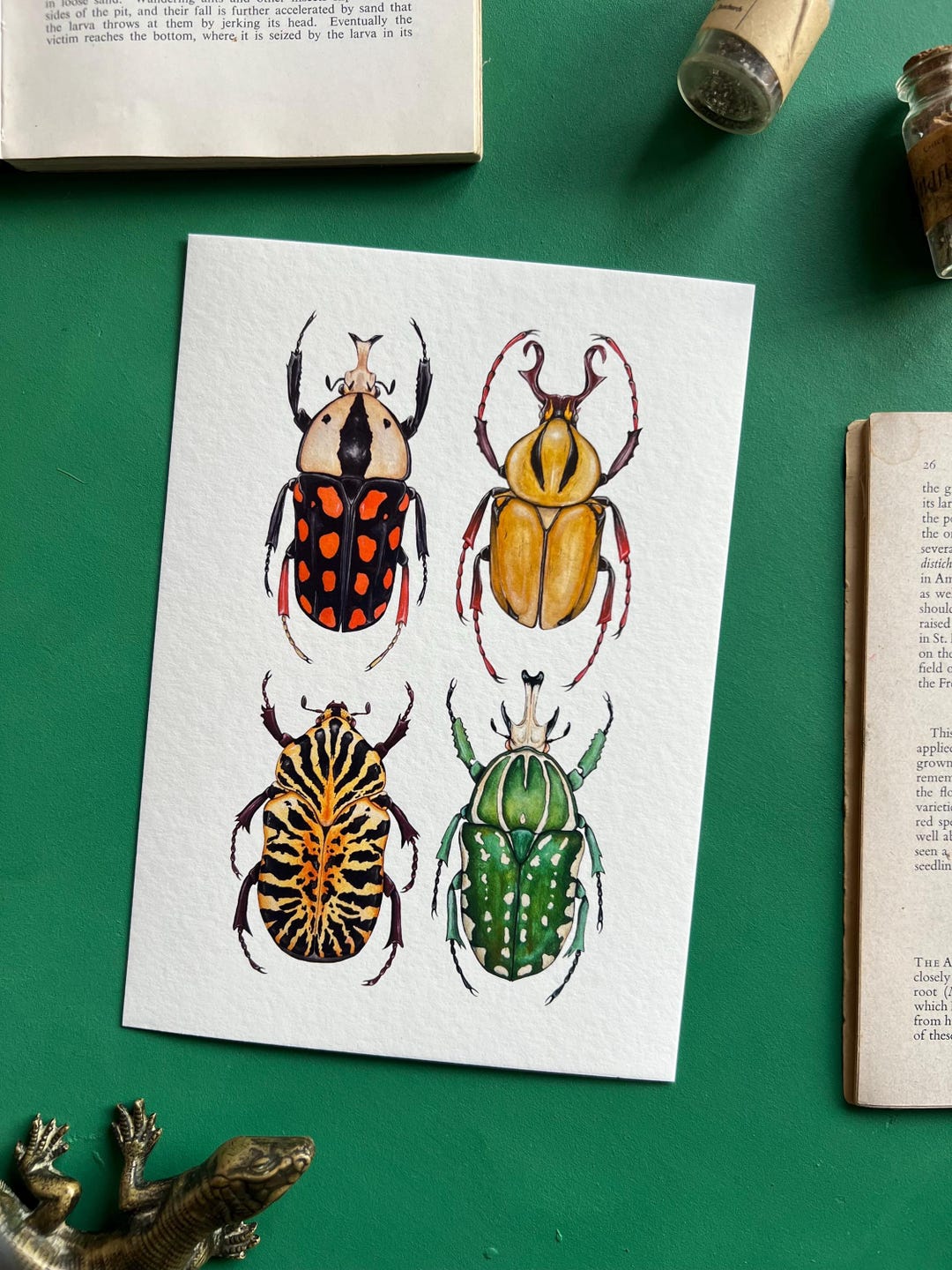 Fruit Beetles, Watercolour Fine Art Print, Entomology - Etsy