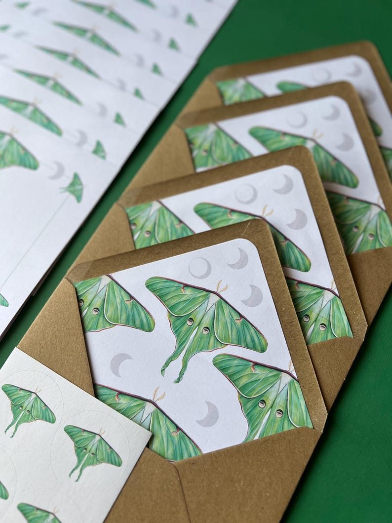 Luna Moth Letter Writing Set, Entomology Gift, Insect Stationery - Etsy