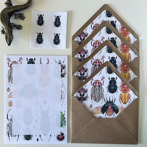 Beetles and Bugs, Letter Writing Set - Etsy