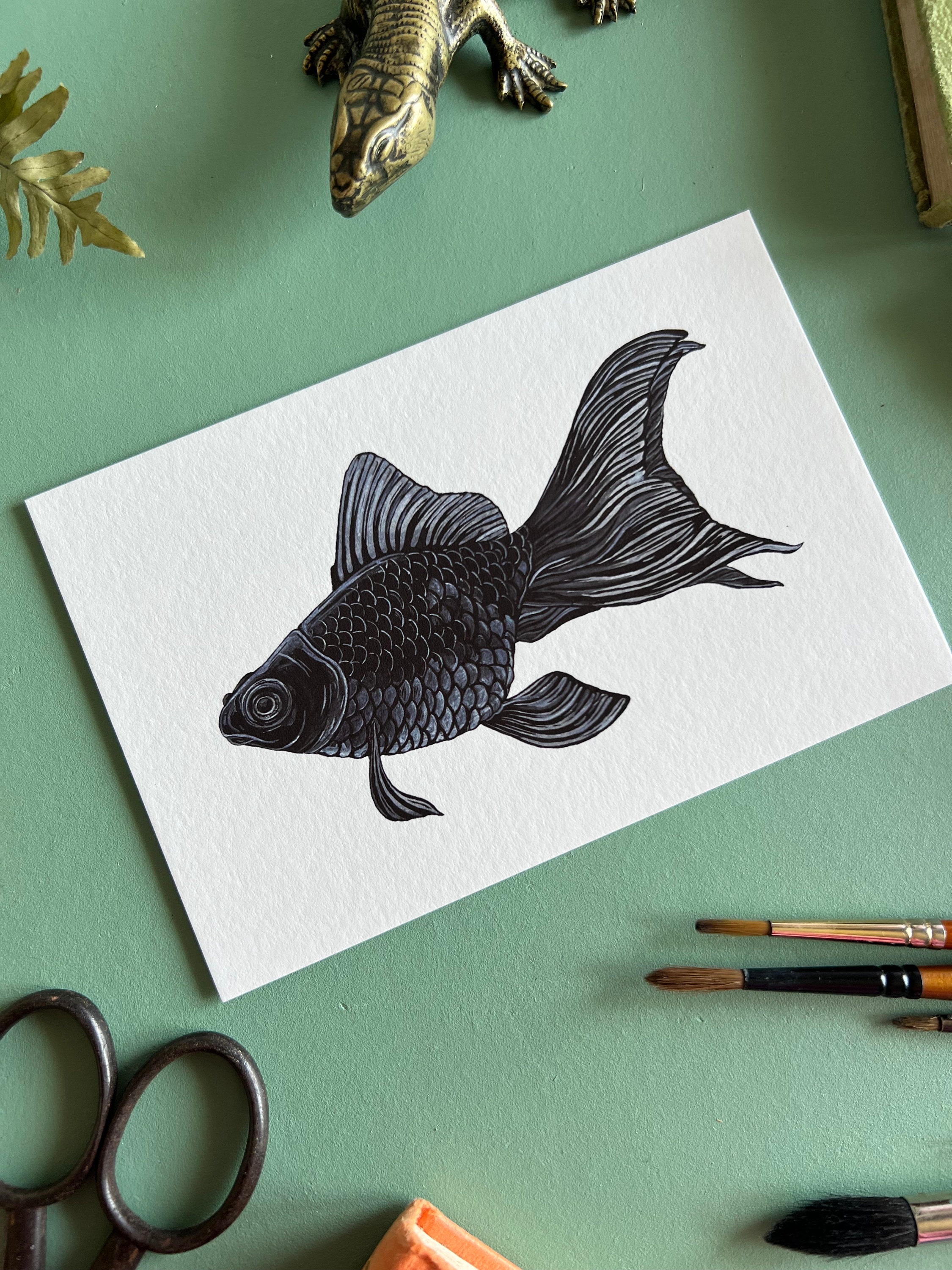 Black Moor Goldfish Drawing