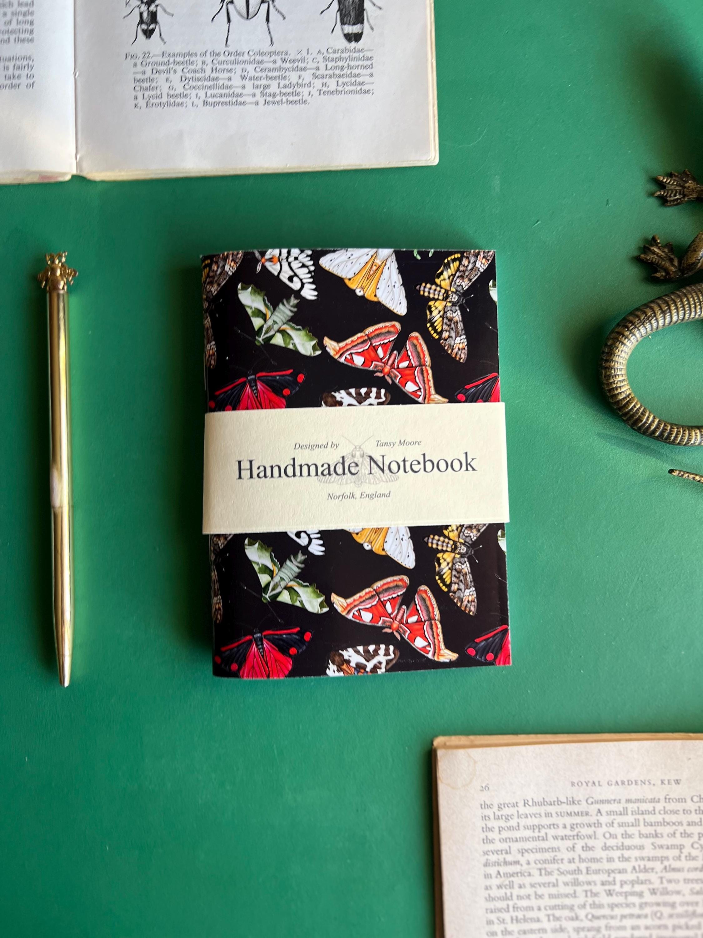 Handmade Insects Notebook Set, A6 Notebook, Sketchbooks, Entomology ...