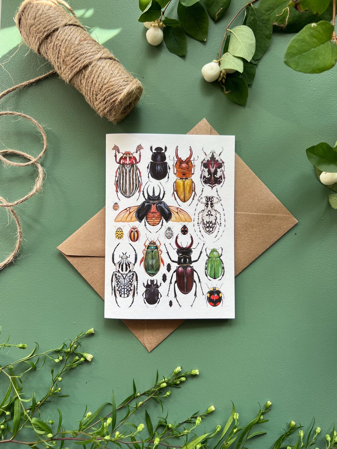 Beetles Card, Blank Greeting Card, Watercolour Print - Etsy