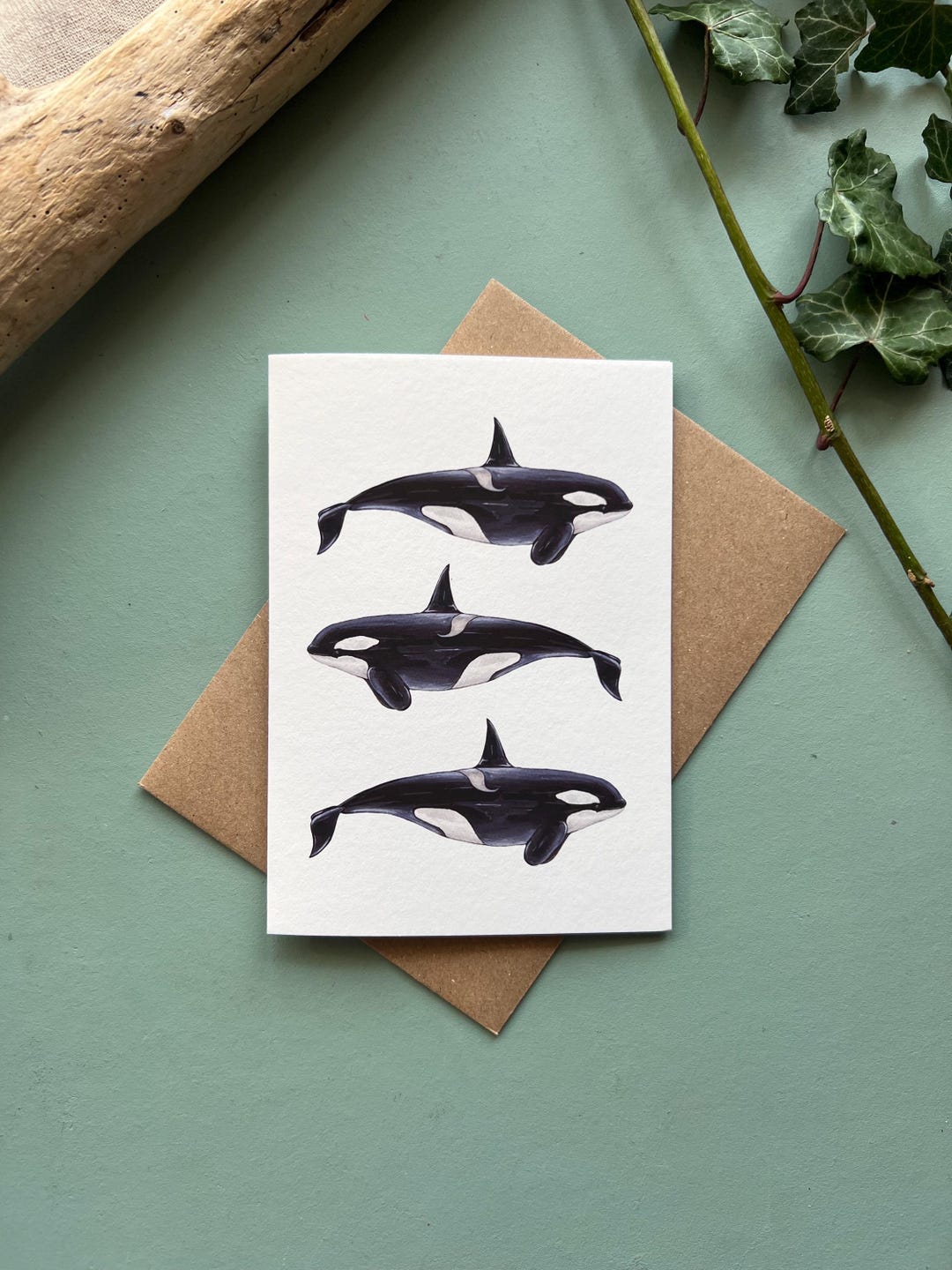 Orca, Blank Greeting Card - Etsy