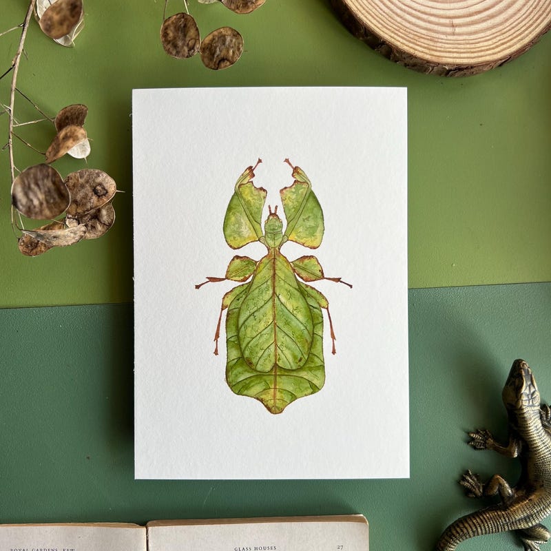 Insect Art - Etsy