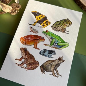 Frogs Print - Etsy