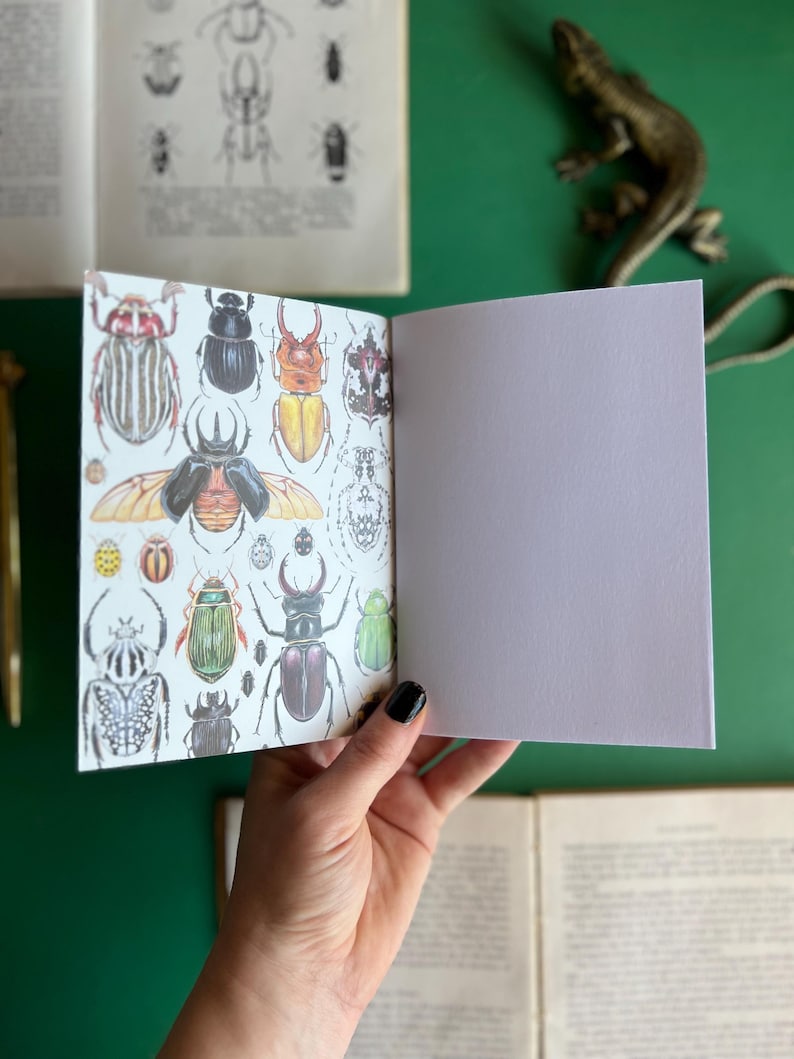 Handmade Insects Notebook Set, A6 Notebook, Sketchbooks, Entomology ...