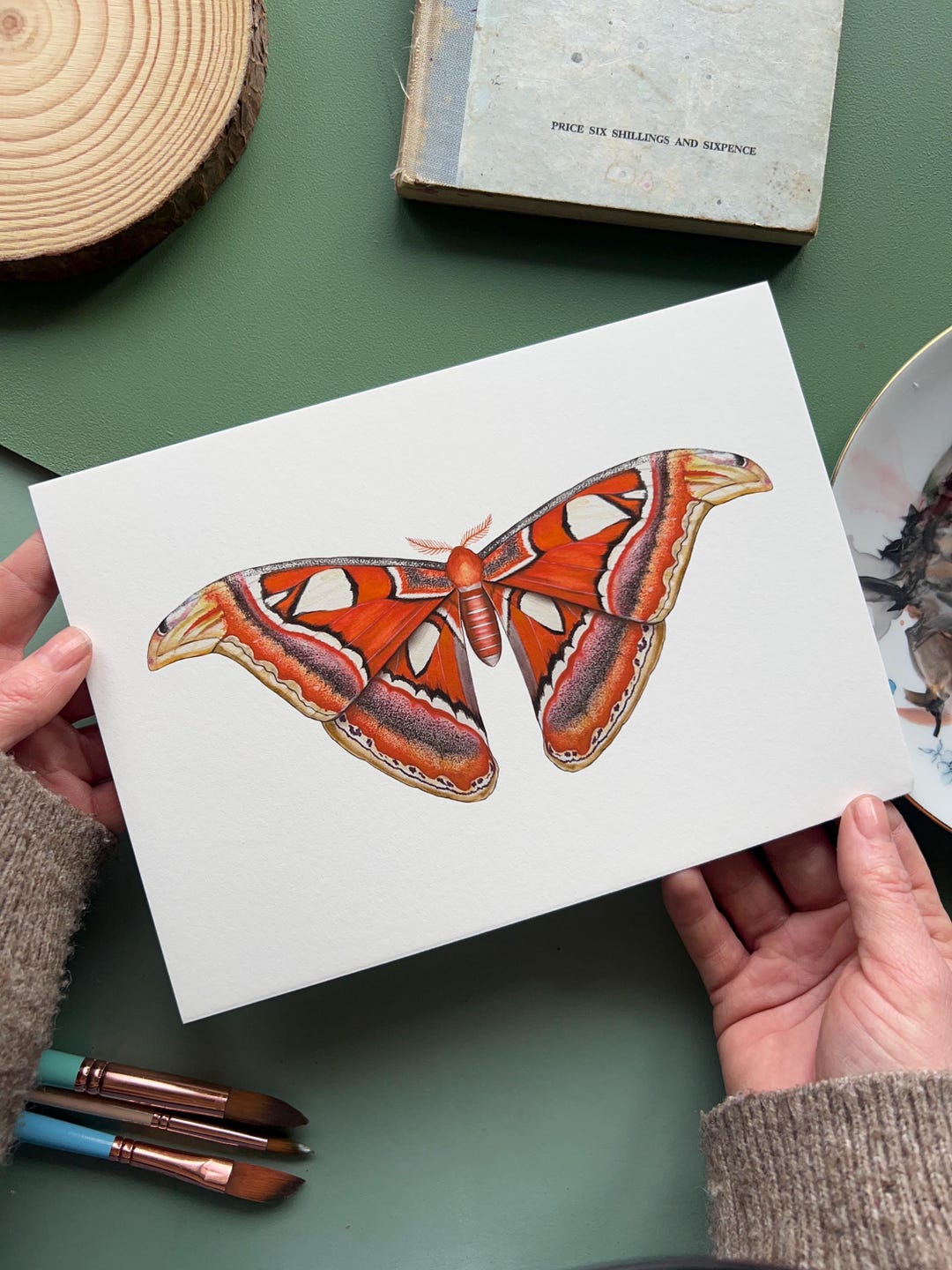 Atlas Moth, Watercolour Fine Art Print, Entomology - Etsy