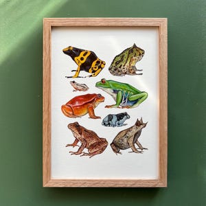 Frogs Print - Etsy
