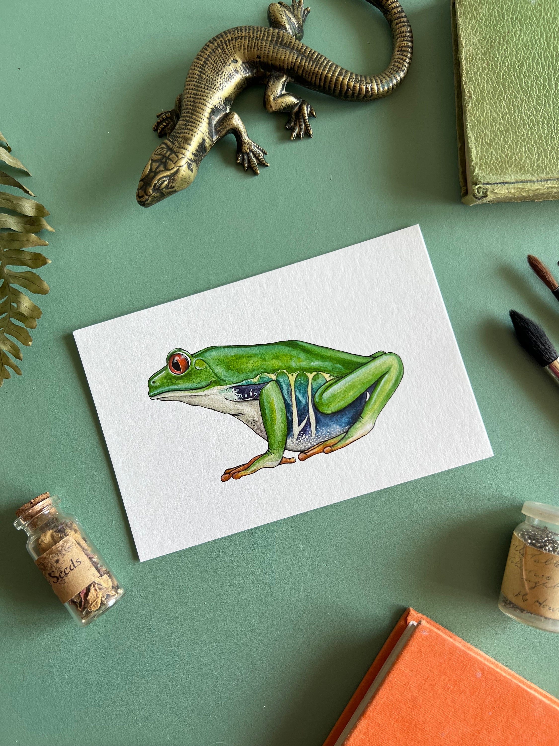 Red Eyed Tree Frog Drawing