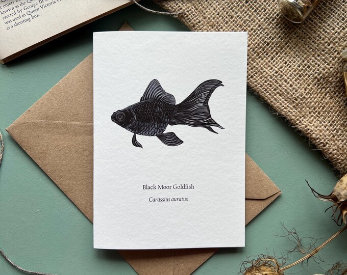 8"x12" Aluminum Sublimation Street Sign Blanks - Set of 10 - Etsy