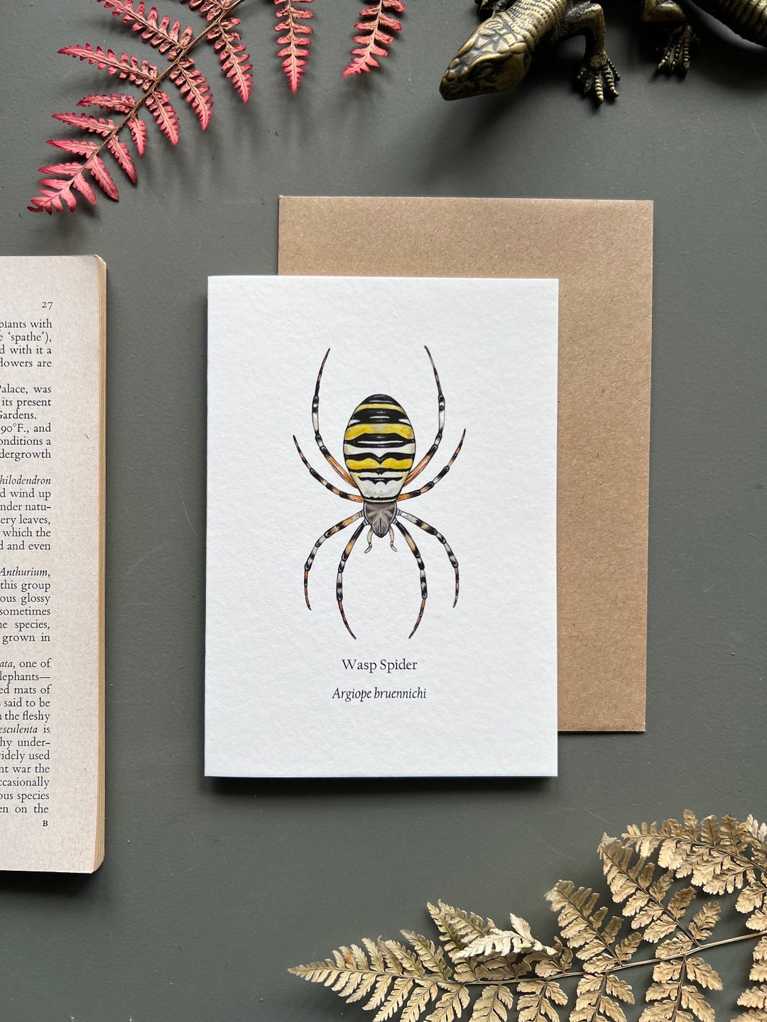 Wasp Spider, Blank Greeting Card - Etsy