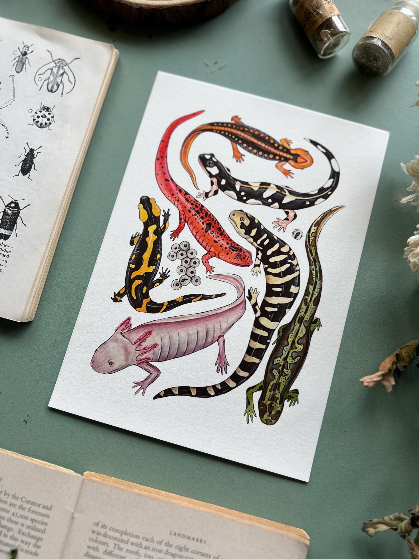 Salamanders, Watercolour Print, 100% Cotton - Etsy